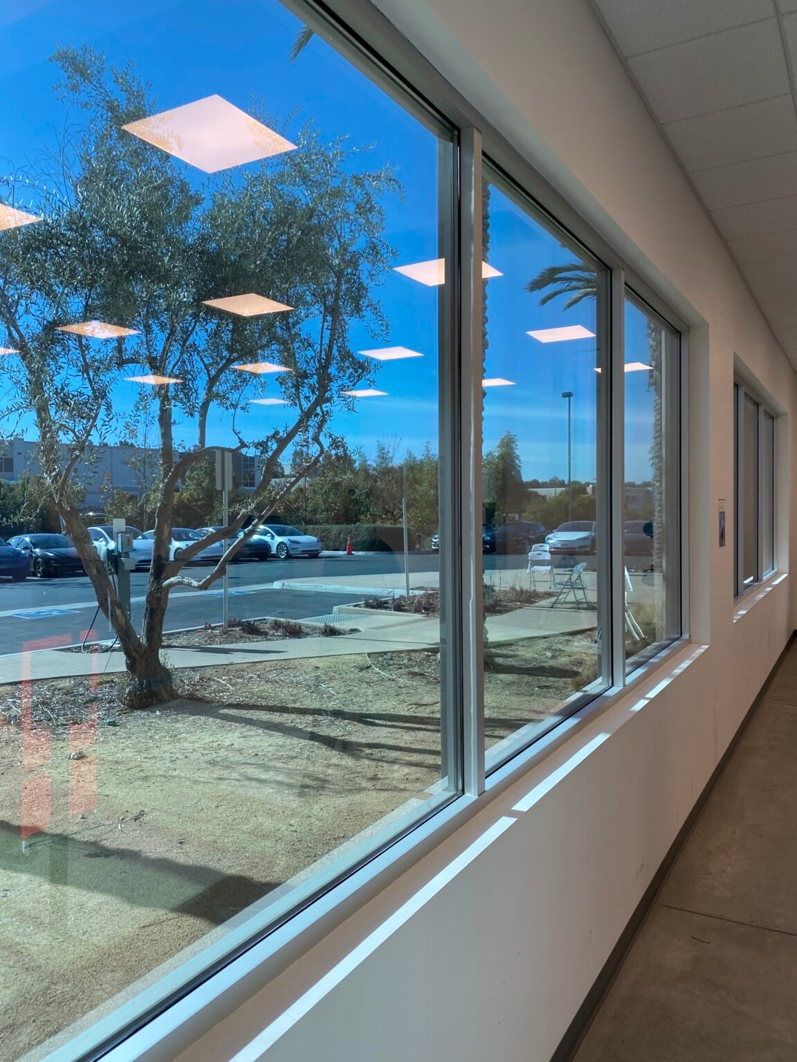 #1 Privacy Film Installation for Windows & Doors By - Tint Solutions